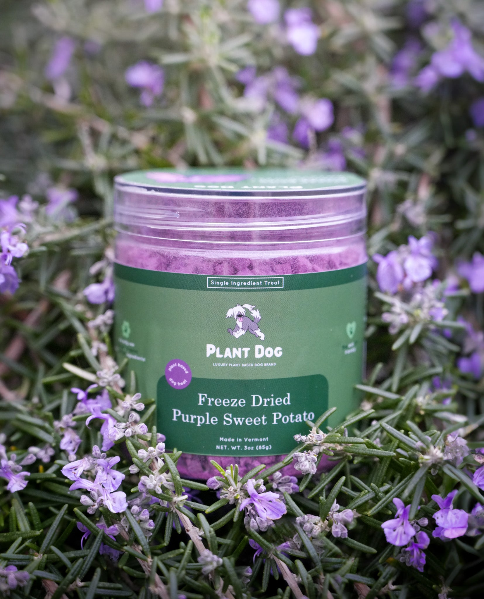 PREVENTATIVE HEALTH – Plant Dog